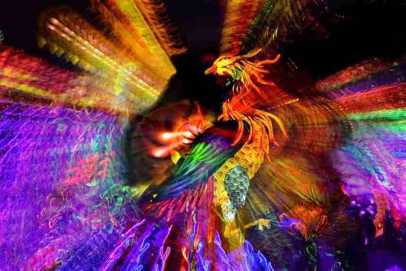 soaring phoenix_00007_00033.jpg | ClubSNAP Photography Community